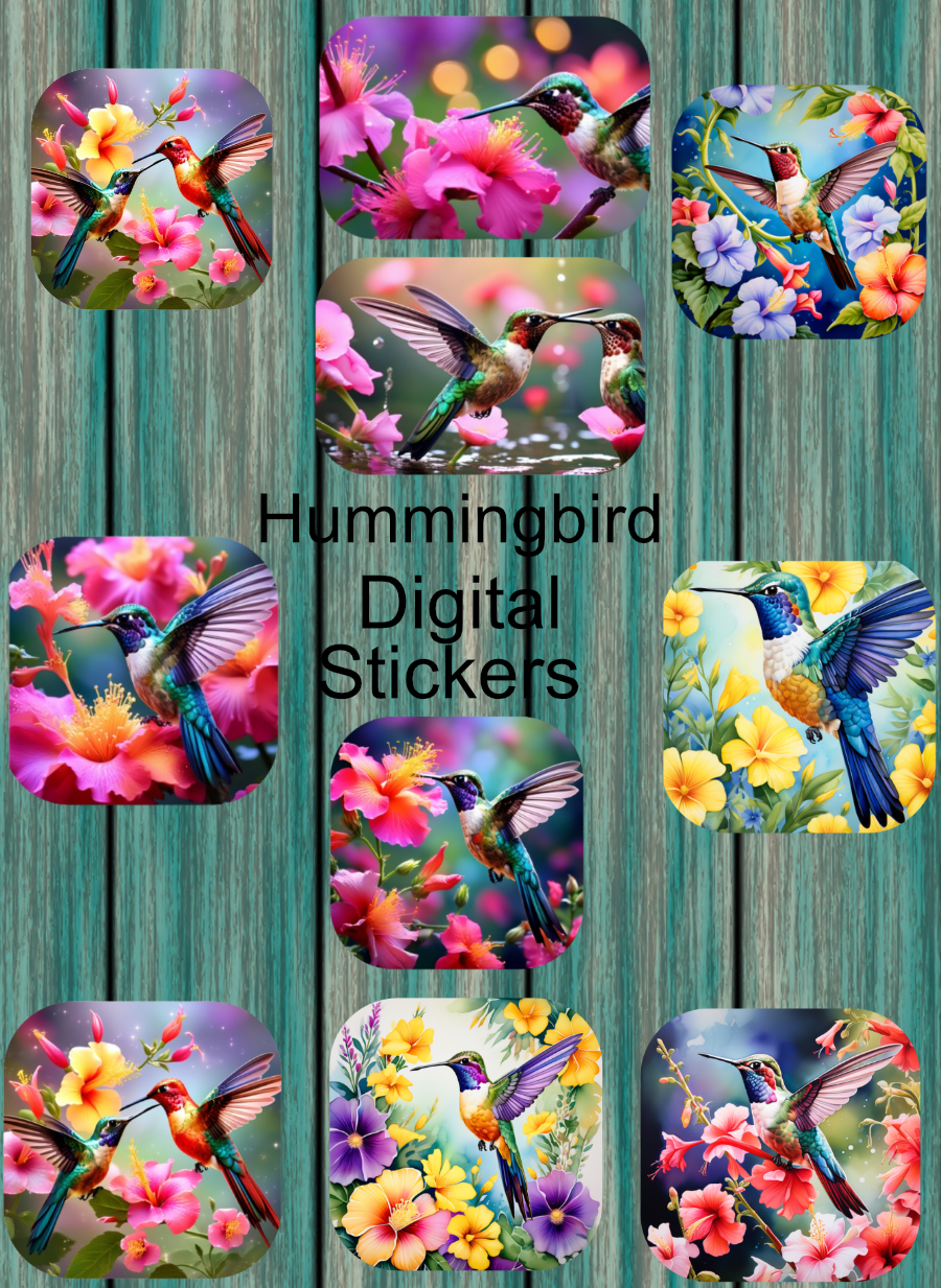 10 Colorful Hummingbird Stickers